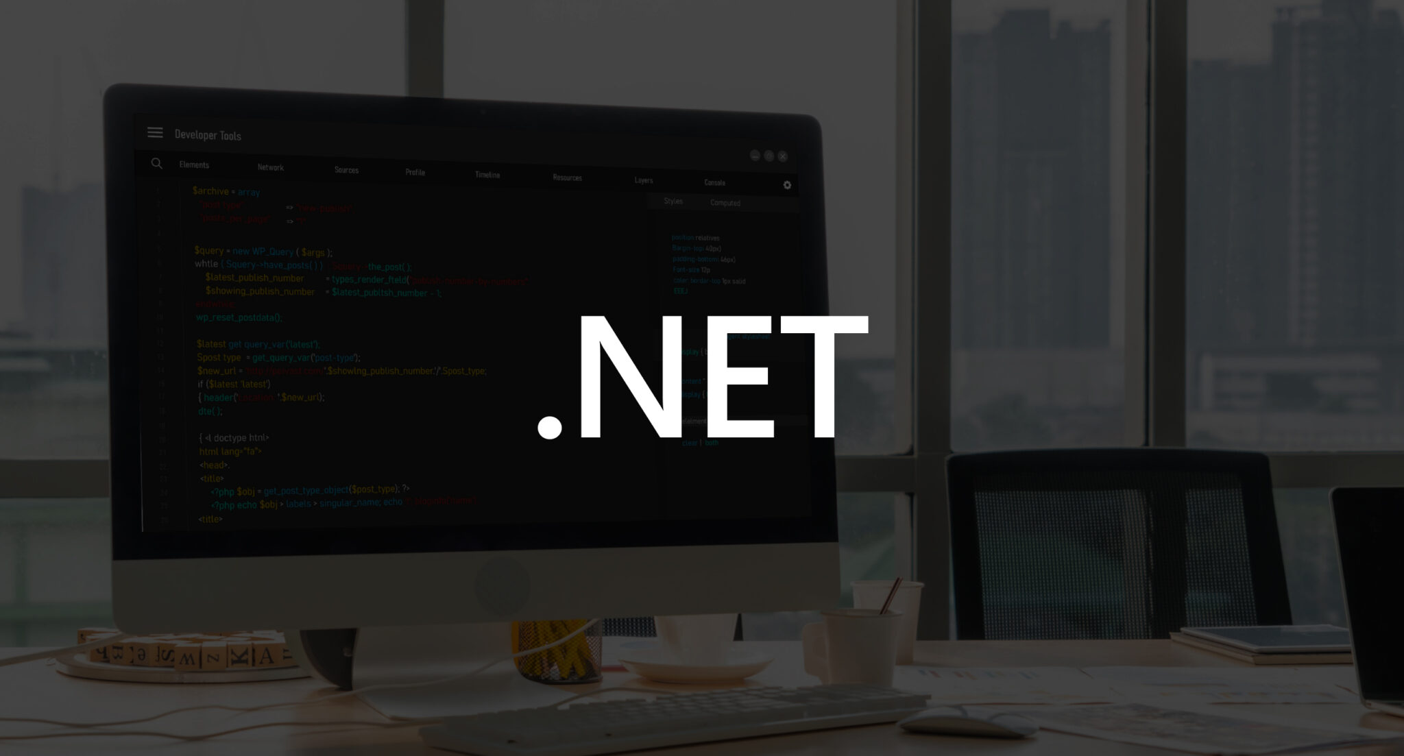 Software Development Expert - Introduct